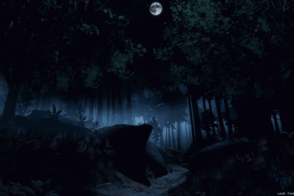 VR Forest app | 4Experience.co: Virtual Reality Company
